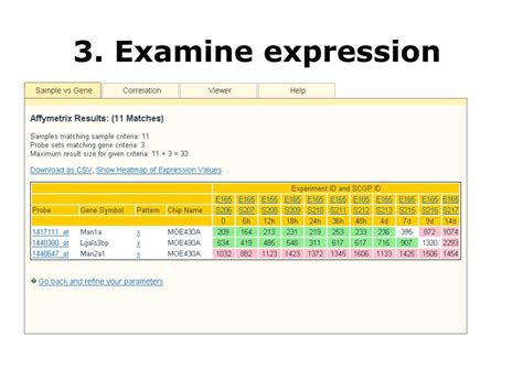 Ppt Gene Function Analysis Powerpoint Presentation Free Download Id 757015