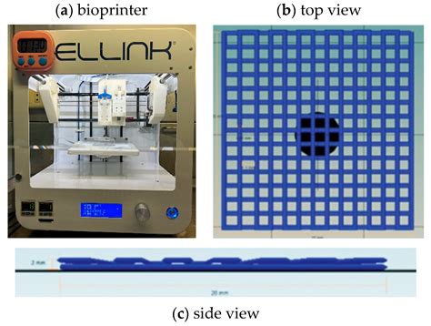Polymers Free Full Text Fabrication Of Fish Scale Based Gelatin