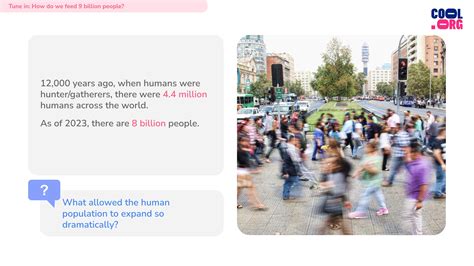 What Is Food Security Cool Org