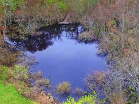 Newton Conservators Bio Blitz Dip Netting For Aquatic Invertebrates At