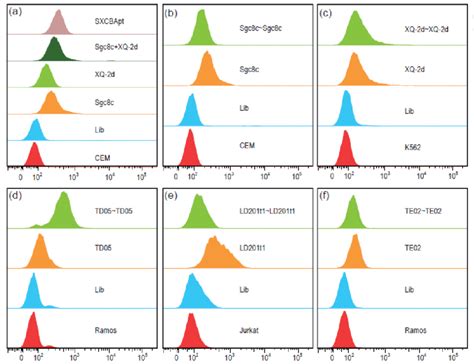 Comparison Of The Internalization Ability Of Cbapts With Their