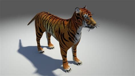 3D модель тигр - TurboSquid 1034457