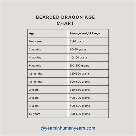 Bearded Dragon Age Chart Size Weight Growth Yihy
