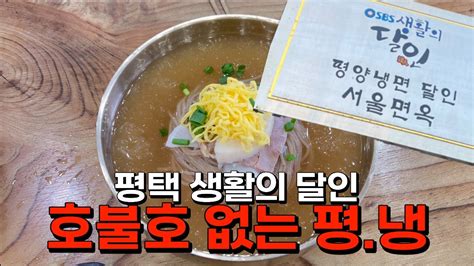 평택 3대째 생활의 달인 나온 평양냉면 서울면옥 Youtube