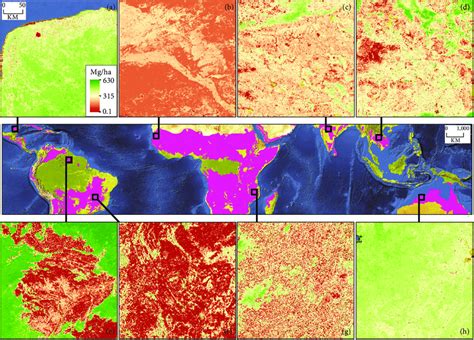 Variability In Aboveground Biomass Agb Estimates From Eight Tropical Download Scientific