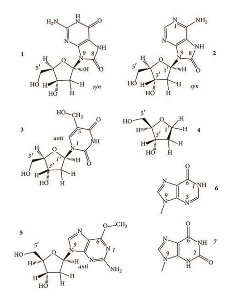 Structures Of The Syn 8 Oxo 2′ Deoxyguanosine 1 Syn Download