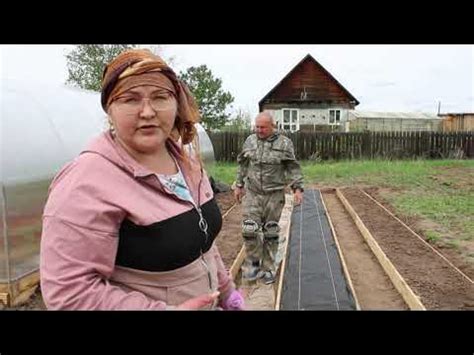 Посадка земляники на агроволокно: как сделать грядки и закрепить ...