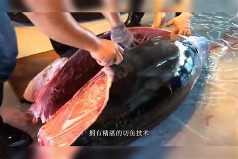 从日本进购的金枪鱼，老板花2万请人切割，技术不如宵夜档大厨金枪鱼技术日本