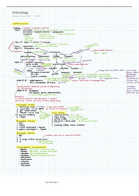 Summary Usmle Step 1 Embryology Overview Usmle Step 1 Stuvia Us