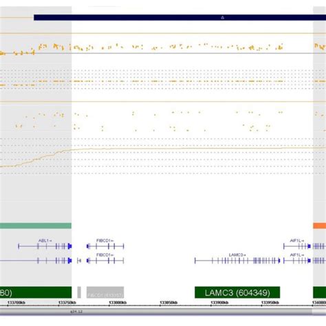 Single Nucleotide Polymorphism Snp Array Of The Amplification In