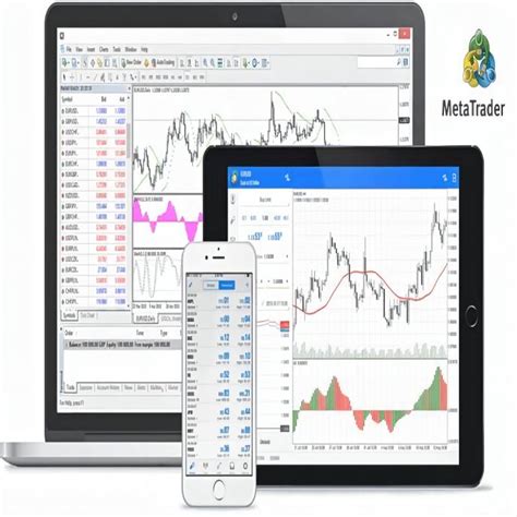 Greylabelsolutions Mt4mt5 Grey Label Provider Greylabelsolutions