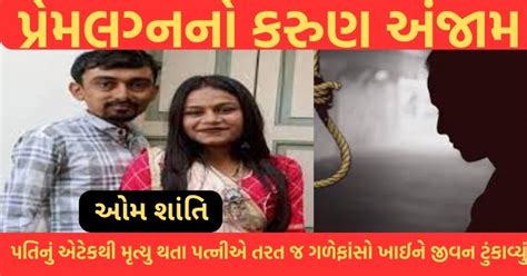 પ્રેમ હોય તો આવોલગ્ન ને 6 મહિના થતાં જ પતિનું એટેકથી મૃત્યુ થતા પત્નીએ