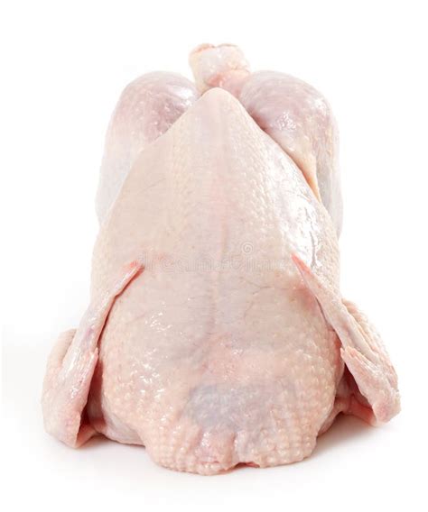 Fresh Raw Chicken Stock Image Image Of Roast Farm Fresh 21333231
