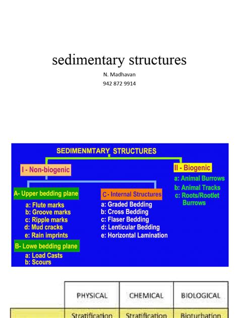 2022 05 Sedimentary Structures Pdf Sedimentary Rock Earth Sciences