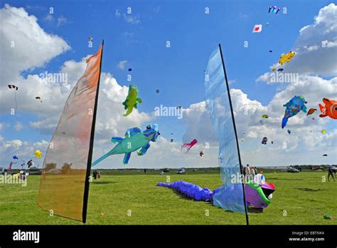 Kites At Flags At The Kite Festival In Schillig Germany Lower Saxony