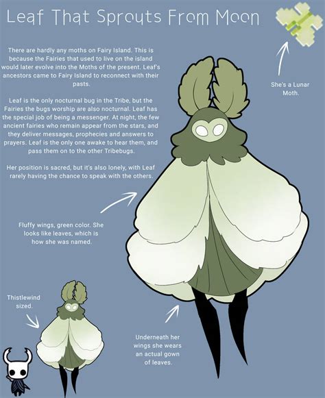 Staxel X Hollow Knight Lunar Moth By Acrillex On Deviantart