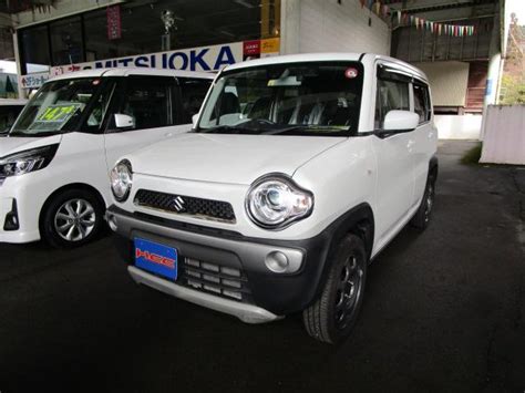 スズキ ハスラー G 4wd エネチャージ レーダーブレーキサポートの中古車｜グーネット中古車