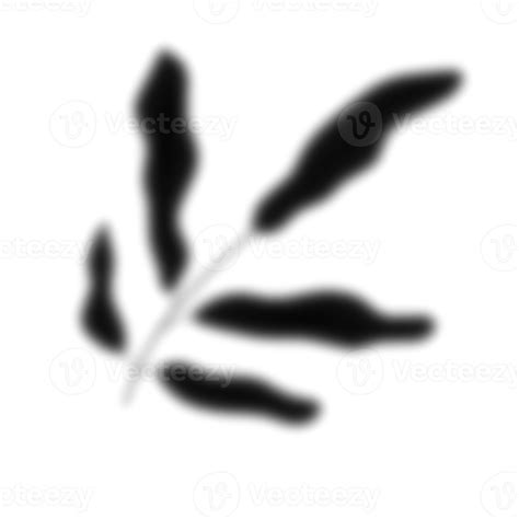 Leaf Shadow Illustration 10309015 Png