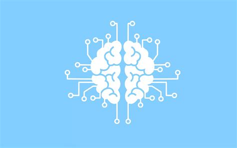 Revolutionizing Algorithms Taking Cues From Biology To Improve