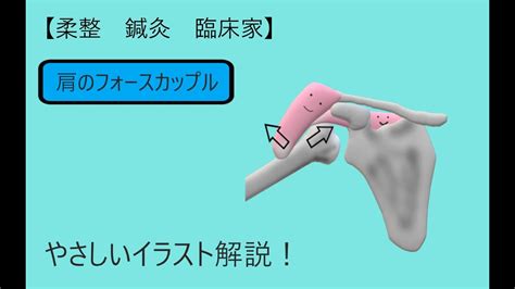 柔整鍼灸 新人セラピスト 肩のフォースカップル YouTube