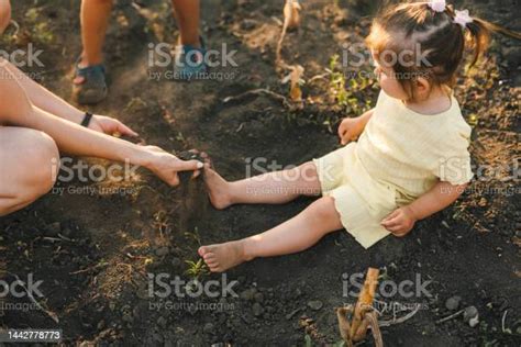 여름 석양에 어머니와 함께 묘목을 심는 재미를 느낀 두 아이 행복한 어린 시절 우정 공유 및 학습 개념 갈색 머리에 대한 스톡
