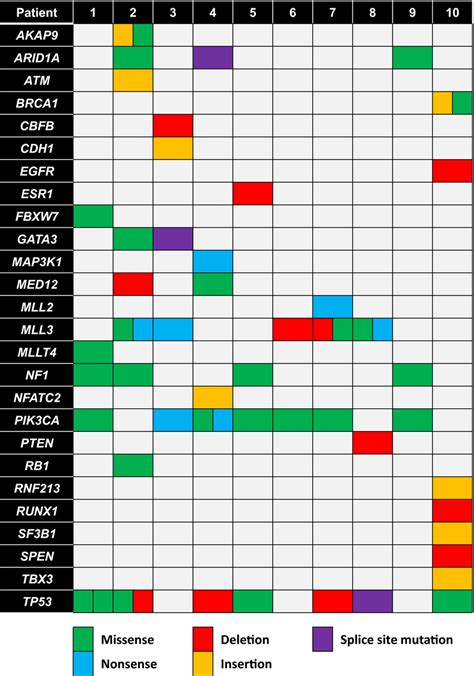 Overview Of Detected Pathogenic And Likely Pathogenic Variants In 26