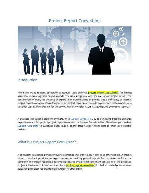 Project Report Consultant Pdf