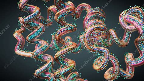 Protein Molecule Animation Stock Video Clip K012 5683 Science Photo Library