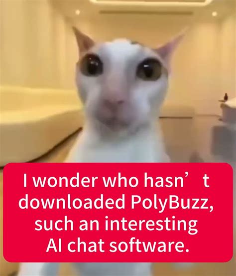 Polybuzz Meme Funny Humor Polyai Cat Fyp Best Youtube