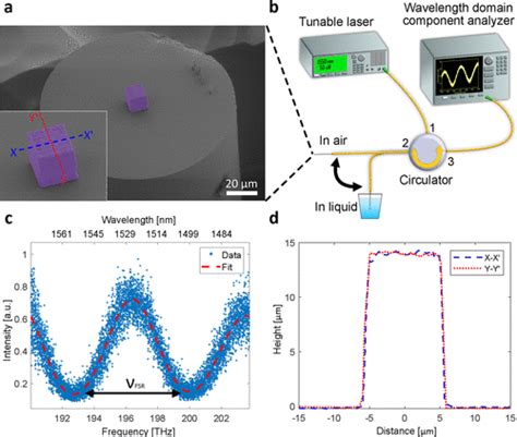 A Thousand Times Smaller Than A Grain Of Sand—glass Sensors 3d Printed On Optical Fiber