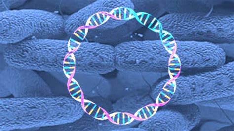 Revolutionizing Genetic Research And Health With Nanopore Whole Plasmid