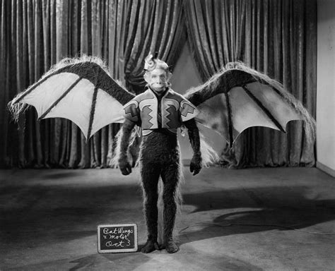 Flying Monkeys Wizard Of Oz