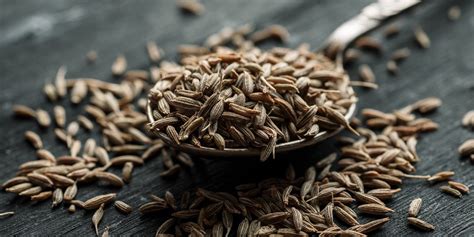 Caraway Seed – Turkey Dalal | Your agent in Turkey