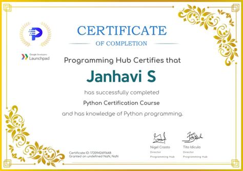 Python Programming Continuouslearning Certification Techskills
