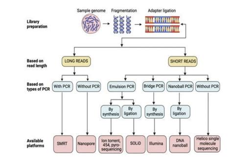 Bavadharani A On Linkedin Ngs Genomics Sequencing Bioinformatics Cancerresearch…