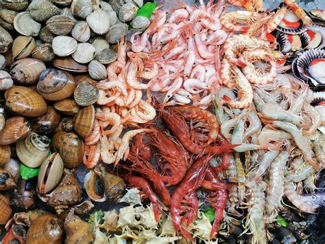 The 3 Types Of Shellfish And Their Unusual Friendship With Salmon The 3 Types Of Shellfish And Their Unusual Friendship With Salmon