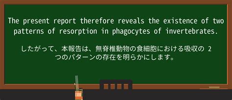 【英単語】phagocyteを徹底解説！意味、使い方、例文、読み方 おもしろい英文法