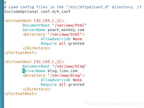 Linux下使用apache部署web网站二 配置使用域名访问网站linux配置apache服务器使用域名访问 Csdn博客