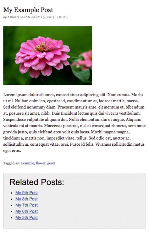 Adding Similar Or Like Posts To My Wordpress Website