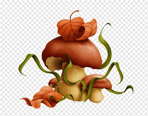 버섯 균류 엘프 버섯 음식 주황색 데쿠 파주 Png Pngwing
