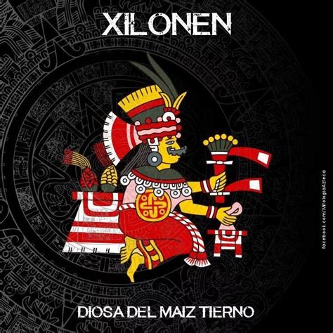 Mayan Tattoos Aztec Symbols Ancient Aztecs Aztec Culture Mayan Art Western Caribbean