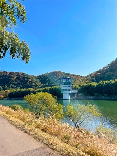 겨울 울산 여행 바다부터 일출까지 연말 울산 여행코스 총정리 Zum 허브