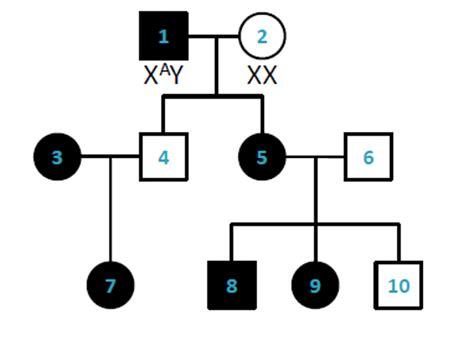 solved case 1 1 identify the pattern of inheritance 2 what