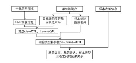 技术服务 新格元生物科技