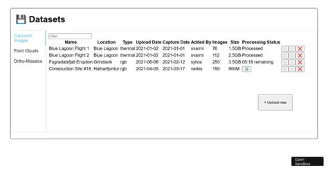 Usage Forked Codesandbox