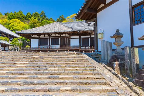 奈良県 東大寺 法華堂三月堂 126778190 の写真素材 アフロ