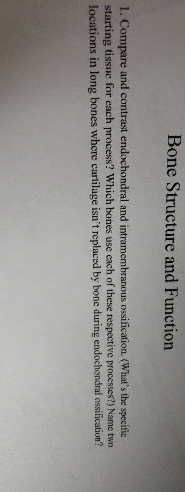 Solved Bone Structure And Function 1 Compare And Contrast