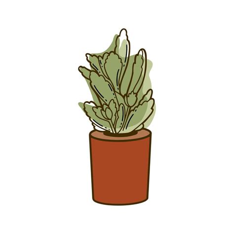 Illustration Of Succulent In The Pot Botanical Drawing For Poster Design Nature Concept