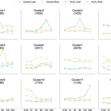 Dynamics Of Gene Expression In The Samples K Means Clustering Grouped