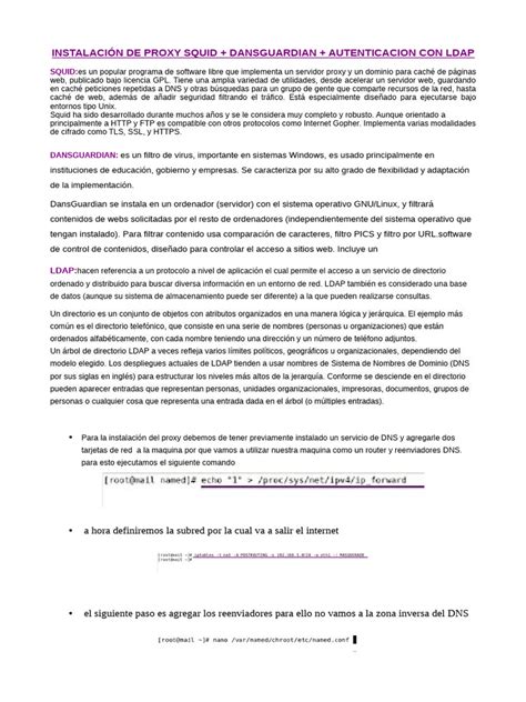 Squiddansguardianldap Pdf Ciencias De La Computación